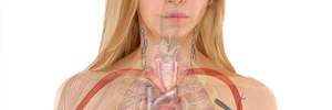 Mouth-Body Connection - Subscirbe to Get Complete Info
